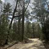Redden State Forest Loop, Delaware - 368 Reviews, Map | AllTrails