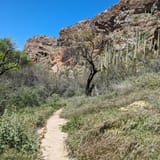 Picketpost Loop via Arizona Trail and L.O.S.T Trail, Arizona - 1,483 ...
