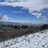 Neff's Canyon Loop, Utah - 2,448 Reviews, Map | AllTrails