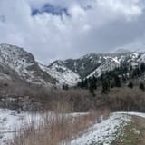 Neff's Canyon Loop, Utah - 2,448 Reviews, Map | AllTrails