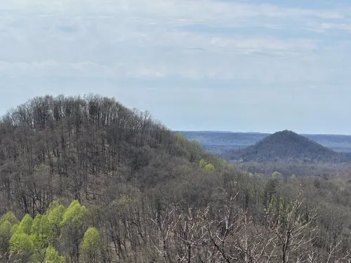 Best Hikes and Trails in Knobs State Forest | AllTrails