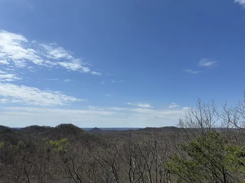 Best Hikes and Trails in Knobs State Forest | AllTrails