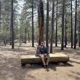 Mars Hill Trail Loop, Arizona - 1,442 Reviews, Map | AllTrails