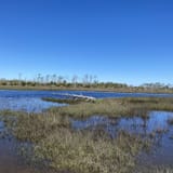 Cedar Point Tideland Trail, North Carolina - 708 Reviews, Map | AllTrails