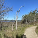 Cedar Point Tideland Trail, North Carolina - 708 Reviews, Map | AllTrails