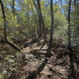Cedar Point Tideland Trail, North Carolina - 708 Reviews, Map | AllTrails
