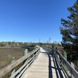 Cedar Point Tideland Trail, North Carolina - 708 Reviews, Map | AllTrails