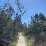 Cedar Point Tideland Trail, North Carolina - 708 Reviews, Map | AllTrails