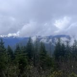 Mount Walker, Washington - 2,016 Reviews, Map | AllTrails