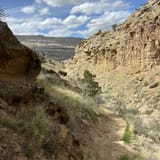 Palisade Rim Trail, Colorado - 1,478 Reviews, Map | AllTrails