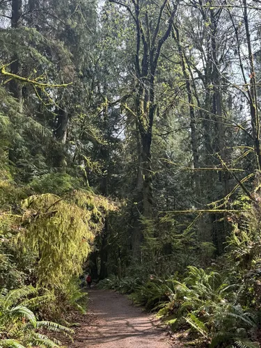 Best Short Trails in Point Defiance Park | AllTrails