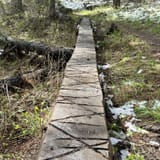 Headwaters Trail, Idaho - 813 Reviews, Map | AllTrails