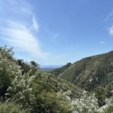 Cold Spring Loop, California - 2,189 Reviews, Map | AllTrails