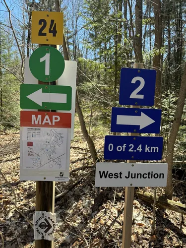 Best Views Trails in Copeland Forest | AllTrails