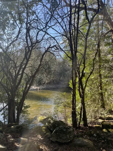 Best Walking Trails in Guelph Lake Conservation Area | AllTrails