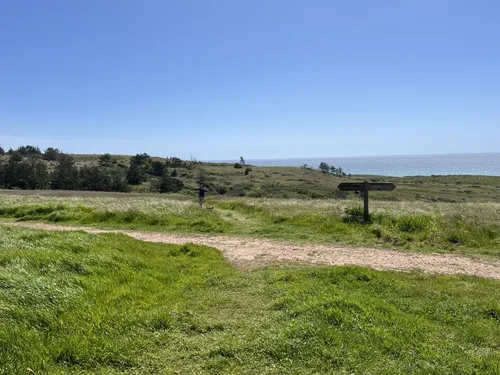 Best Dogs On Leash Trails in Fiscalini Ranch Preserve | AllTrails