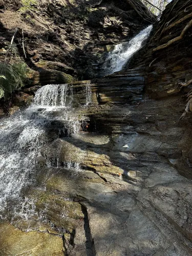 Best Views Trails in Chestnut Ridge Park | AllTrails