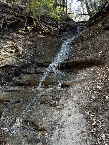 Best Views Trails in Chestnut Ridge Park | AllTrails