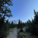 Skoki Loop Backpacking Trail, Alberta, Canada - 364 Reviews, Map ...