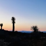 Ryan Mountain, California - 7,403 Reviews, Map | AllTrails