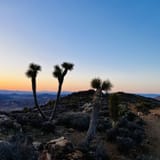 Ryan Mountain, California - 7,403 Reviews, Map | AllTrails