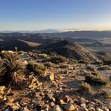 Ryan Mountain, California - 7,403 Reviews, Map | AllTrails