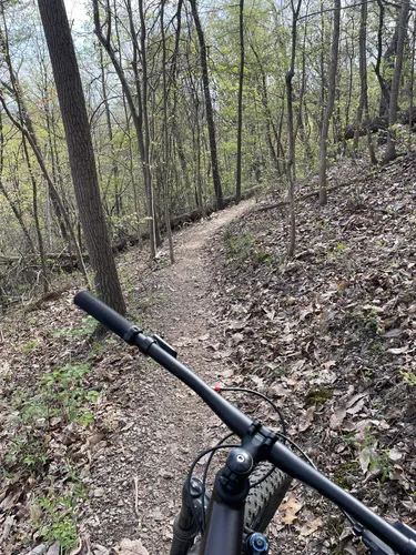 Best Hikes and Trails in Sharps Ridge Memorial Park | AllTrails