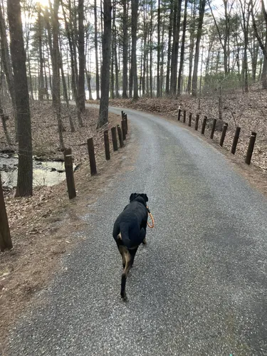 Best Hikes and Trails in Quaddick State Park | AllTrails
