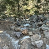 Columbine Trail, Colorado - 1,957 Reviews, Map | AllTrails