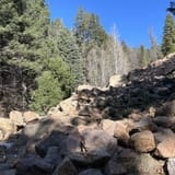 Columbine Trail, Colorado - 1,957 Reviews, Map | AllTrails