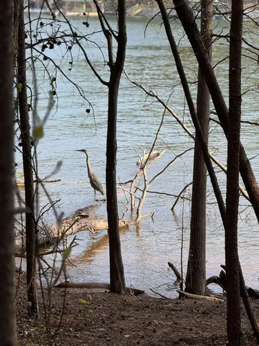 Best Hikes and Trails in Little Ridge Park | AllTrails