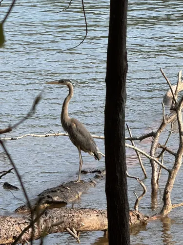 Best Hikes and Trails in Little Ridge Park | AllTrails