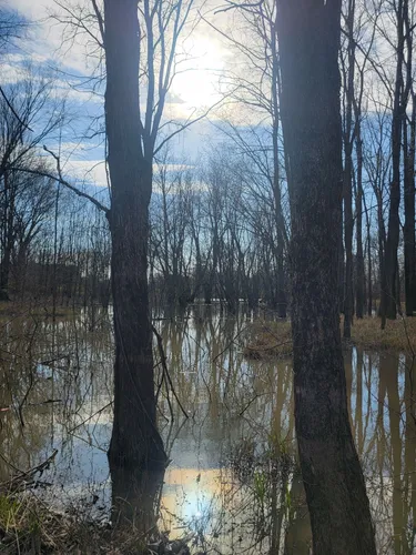 Best Horseback Riding Trails in Findlay | AllTrails