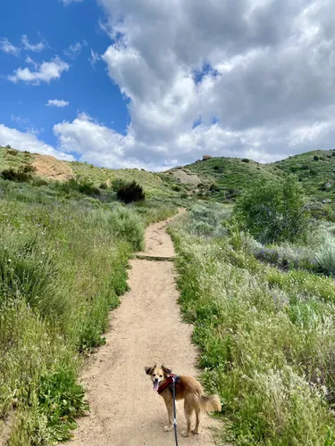 Best Moderate Trails in Lang Ranch Open Space | AllTrails