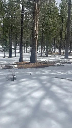 Best Hikes and Trails in Martis Creek Lake National Recreation Area ...