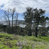 Presidio Loop Trail, California - 1,492 Reviews, Map | AllTrails