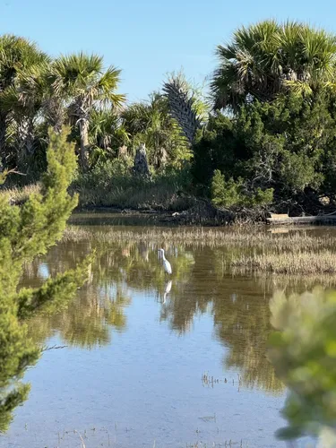 Best Hikes and Trails in Tybee Island | AllTrails