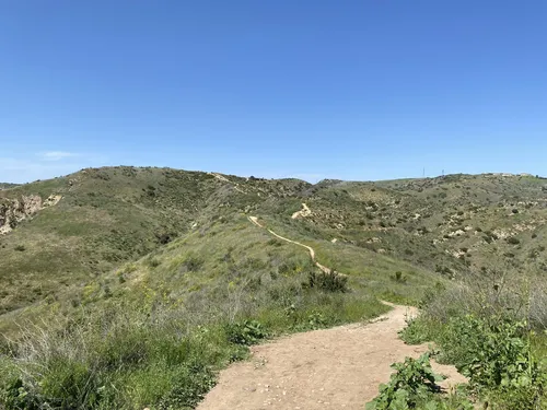 Best Bird Watching Trails in Irvine Regional Park | AllTrails