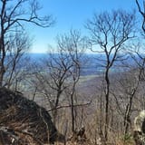 Flat Top Mountain via Flat Top Trail, Virginia - 465 Reviews, Map ...