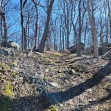 Flat Top Mountain via Flat Top Trail, Virginia - 465 Reviews, Map ...