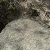 Dave Moore Nature Trail, California - 391 Reviews, Map | AllTrails