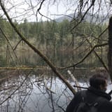 Tradition Lake Loop Trail, Washington - 1,618 Reviews, Map | AllTrails