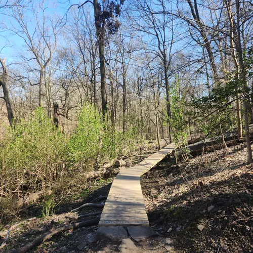 Best Easy Trails in Frick Park | AllTrails