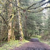 Foothills Trail: Fairfax Bridge to Carbonado, Washington - 319 Reviews ...
