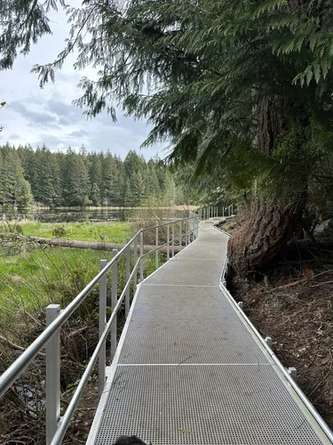 Best Moderate Trails in Linley Valley Cottle Lake Park | AllTrails