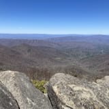 The Pinnacle and Flat Top Mountain, Virginia - 560 Reviews, Map | AllTrails