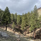 Caughlin Ranch Trails, Nevada - 739 Reviews, Map | AllTrails
