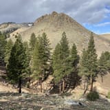 Caughlin Ranch Trails, Nevada - 739 Reviews, Map | AllTrails