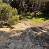 Balboa Park Loop, California - 979 Reviews, Map | AllTrails