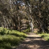 Balboa Park Loop, California - 979 Reviews, Map | AllTrails
